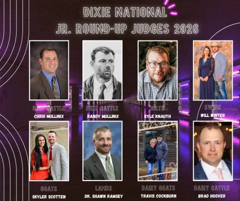 Dixie National Junior Round-Up | Dixie National Rodeo